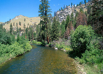 Bitterroot River at Spring Gulch near Sula, Montana. L&C campsite 9/6/1805