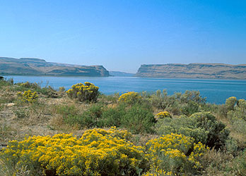 Columbia River/Lake Walla Walla near Wallula, Washington. L&C 10/18/1805