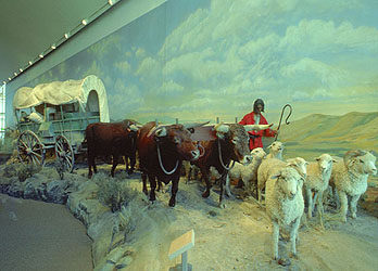Sheep Herder Exhibit in National Historic Oregon Trail Interpretative ...