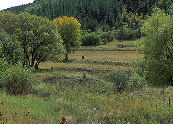 Santa Fe trail Wagon Ruts near Las Vegas, New Mexico