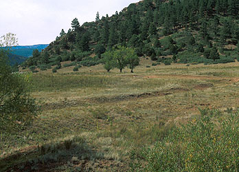 Santa Fe trail Wagon Ruts near Las Vegas, New Mexico