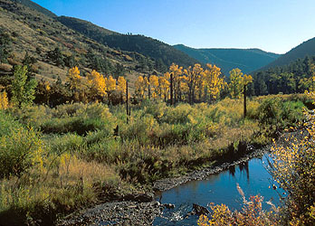 Cimarron Canyon on mountain route of Santa Fe trail in New Mexico