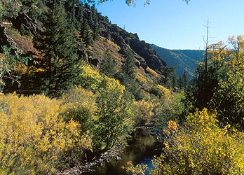 Cimarron Canyon on mountain route of Santa Fe trail in New Mexico