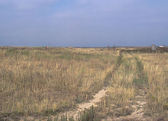 Santa Fe trail ruts near Dodge City, Kansas