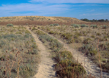 Santa Fe Trail Ruts on Arkansas River Crossing along mountain route of ...