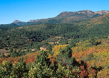 Raton Pass (elev 7,834 feet) along mountain route of Santa Fe trail in ...