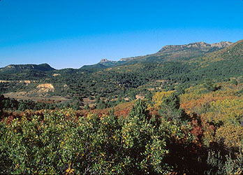 Raton Pass (elev 7,834 feet) along mountain route of Santa Fe trail in ...