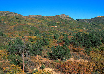 Raton Pass (elev 7,834 feet) on mountain route of Santa Fe trail in New ...