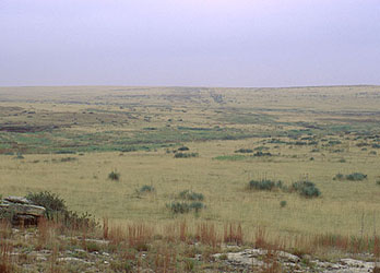 Santa Fe trail Ruts at Willow Bar Crossing on Cimarron County Cutoff on ...