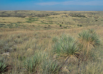 Cimarron County Cutoff on the Santa Fe trail in the panhandle of Oklahoma