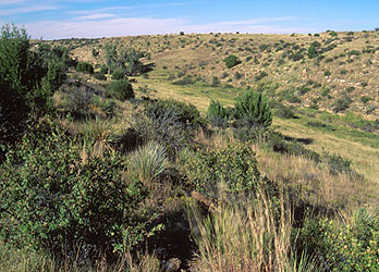 Santa Fe Trail from Camp Nichols on Cimarron County Cutoff in panhandle ...