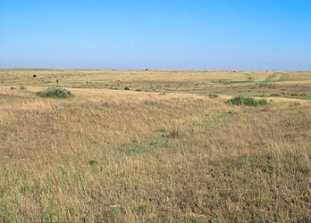 Santa Fe trail Ruts near Camp Nichol's on Cimarron County Cutoff on ...