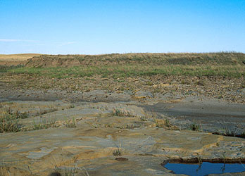Santa Fe trail Wagon Ruts along McNees Crossing on Cimarron Cutoff on ...