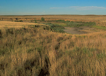 Santa Fe trail Wagon Ruts along McNees Crossing on Cimarron Cutoff on ...
