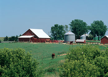 Red Barn in Dubuque County, Iowa