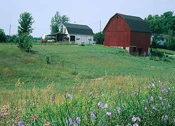 Scenic Red Barn in Grand Traverse County, Michigan