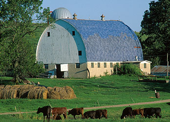 Picturesque Dairy Farm in Rice County, Minnesota