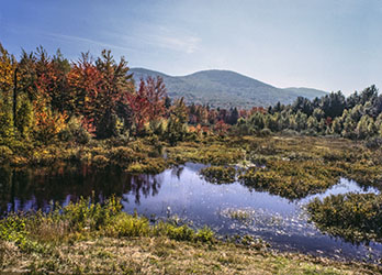 Autumn scene along Hwy 25 in New Hampshire