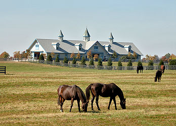 Horse Stable in Blue Grass Country along Hwy 60 in Kentucky